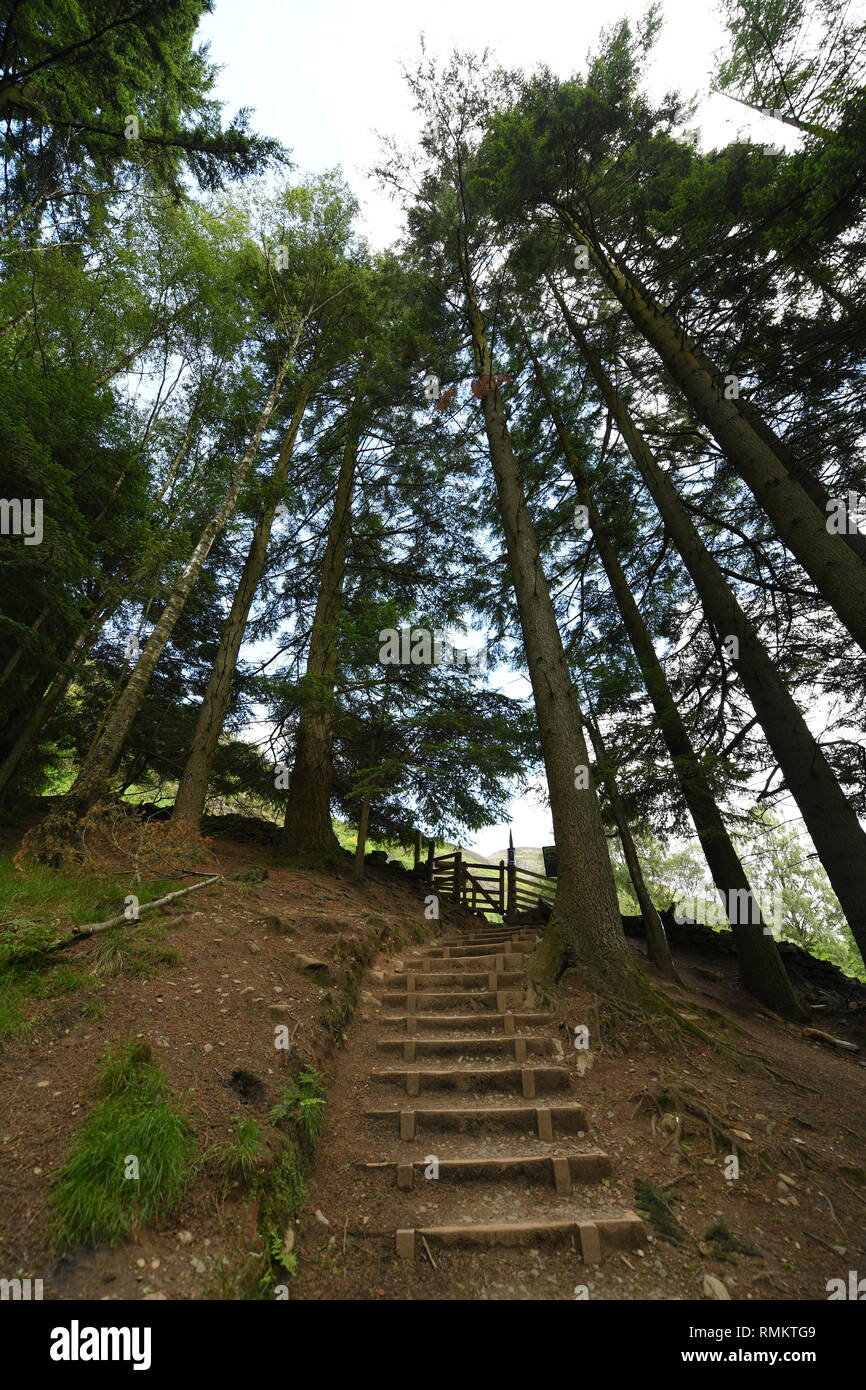 On the footpath from Balmaha to Conic Hill. Loch Lomond, Scotland UK ...