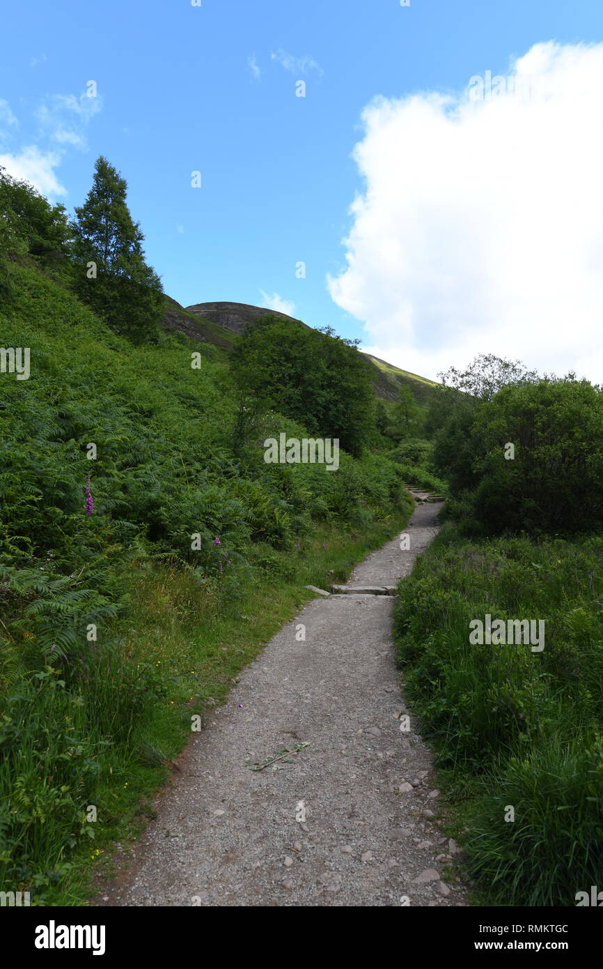 On the footpath from Balmaha to Conic Hill. Loch Lomond, Scotland UK ...