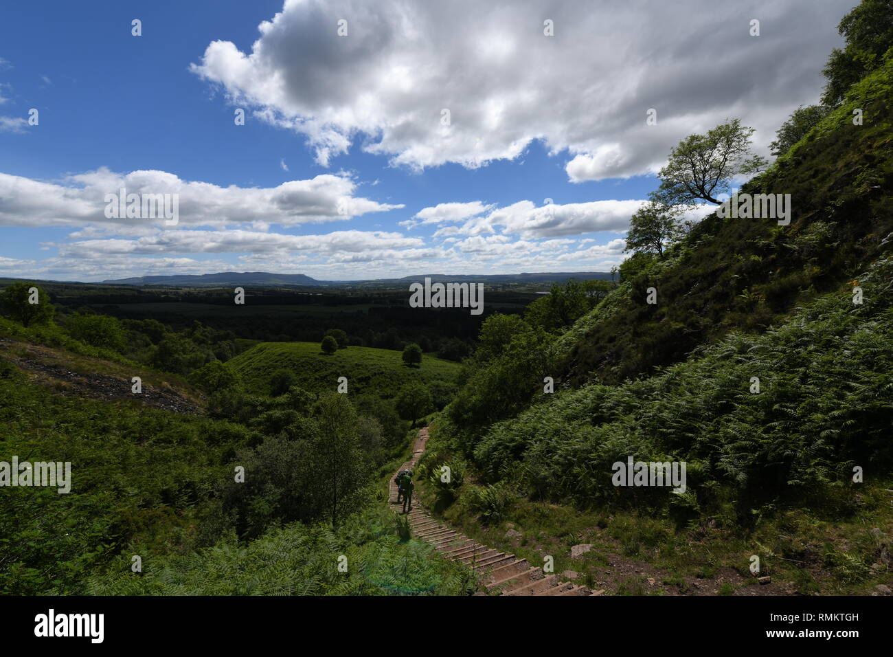 On the footpath from Balmaha to Conic Hill. Loch Lomond, Scotland UK ...