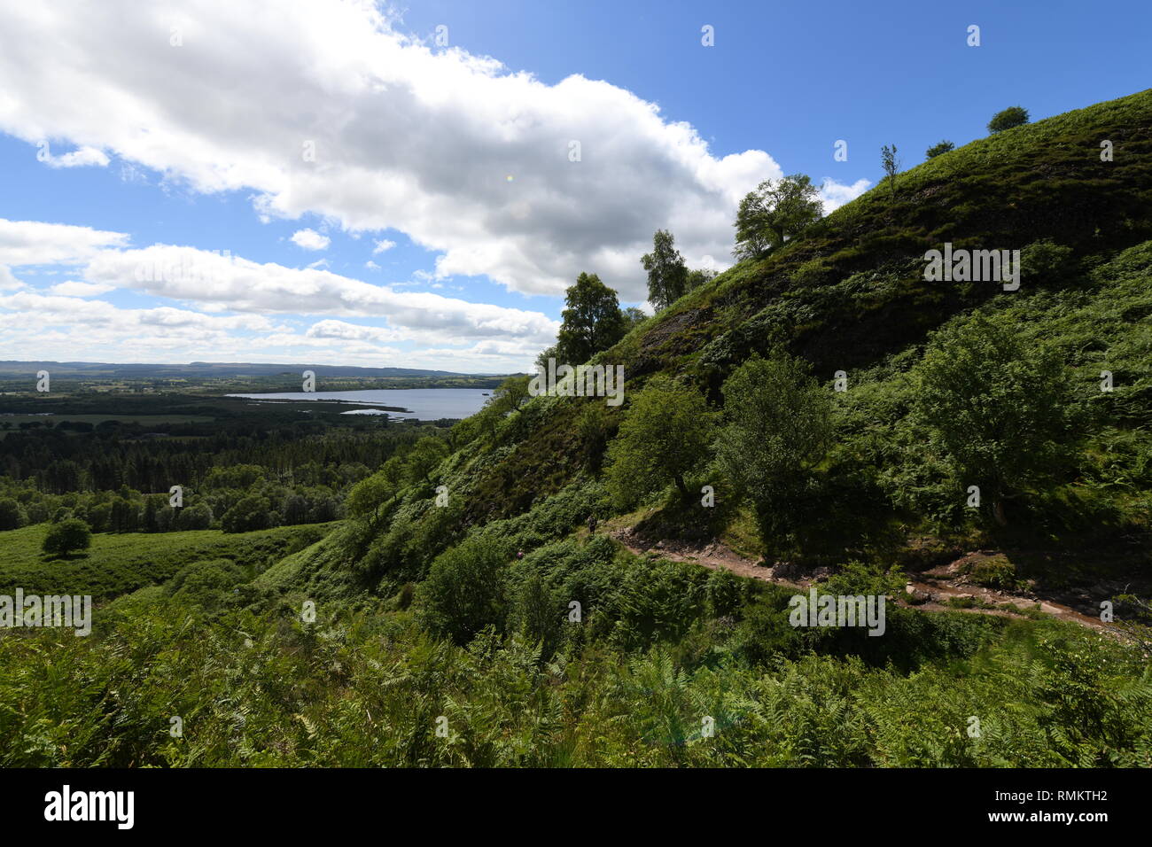 On the footpath from Balmaha to Conic Hill. Loch Lomond, Scotland UK ...