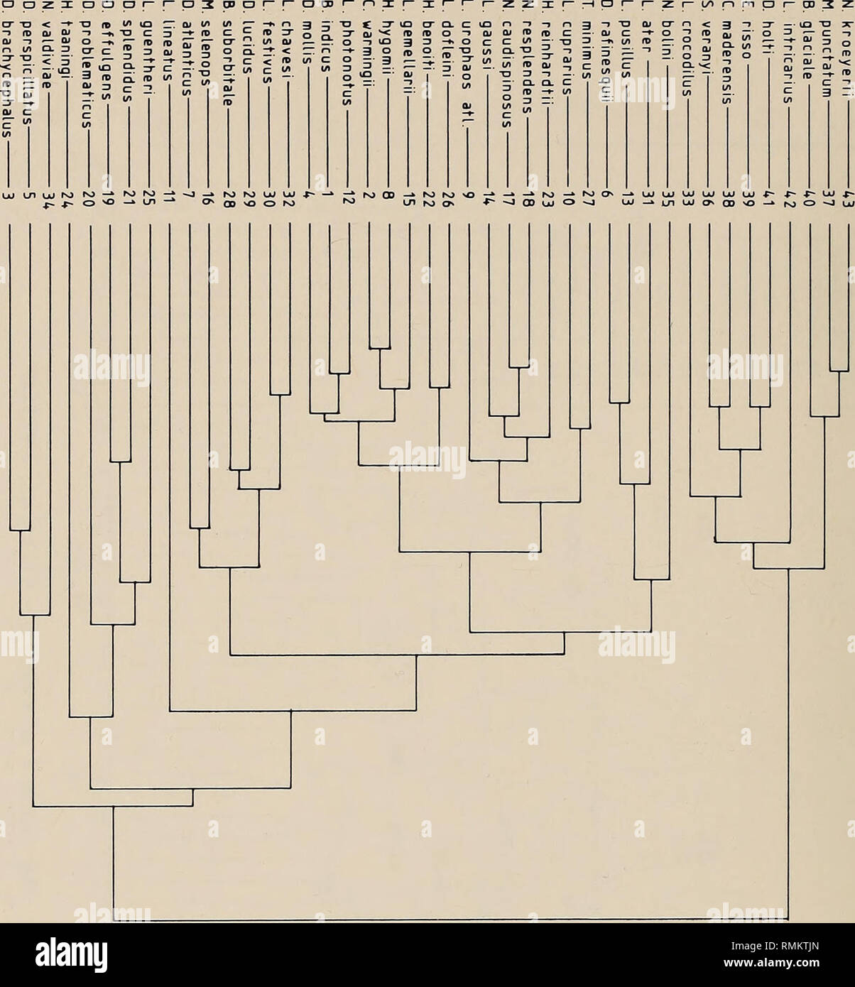 . Annals of the South African Museum = Annale van die Suid-Afrikaanse ...