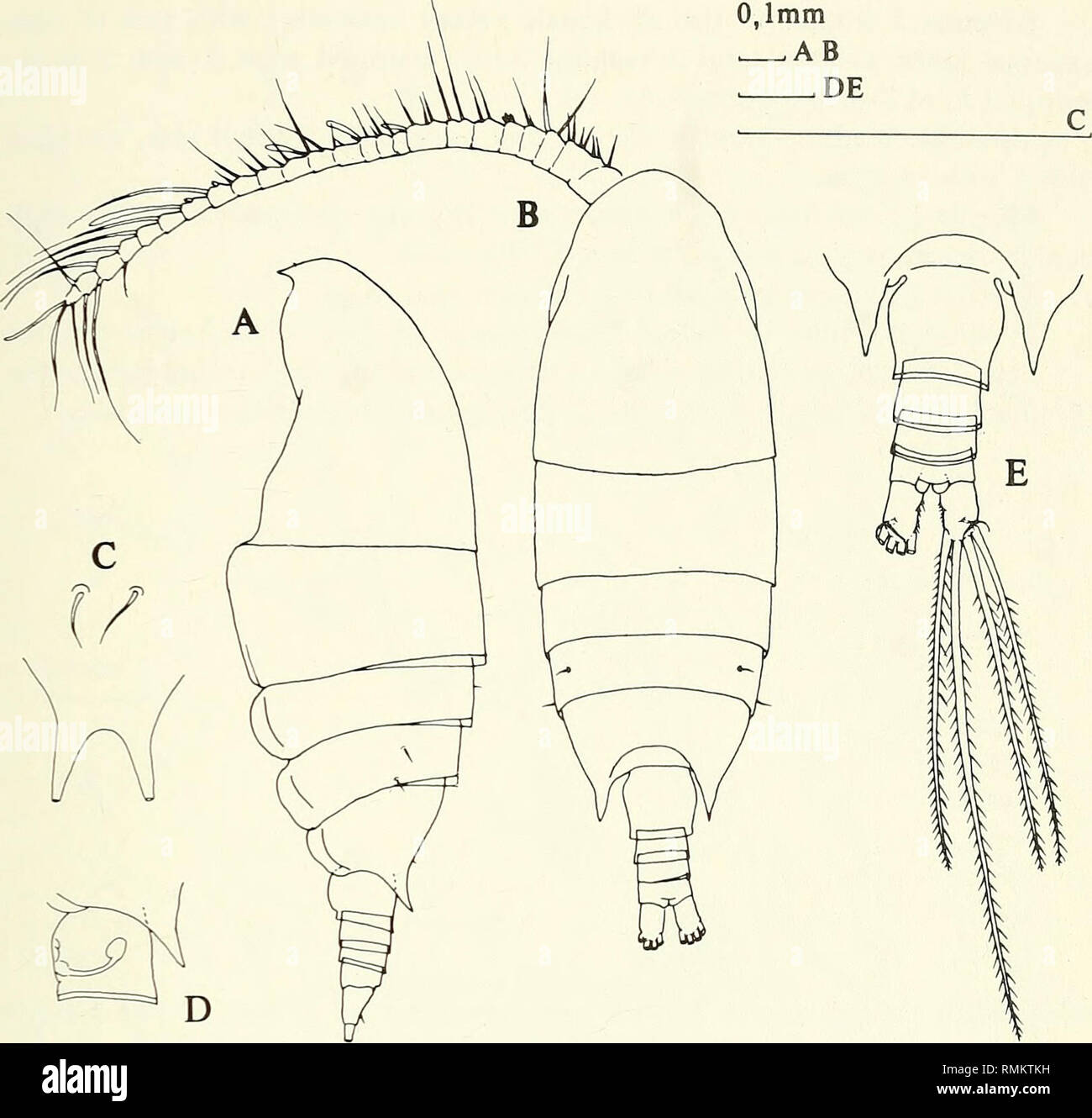 . Annals of the South African Museum = Annale van die Suid-Afrikaanse ...
