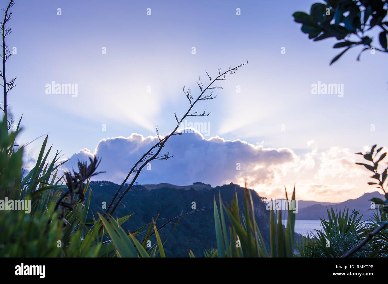 Mercury bay new zealand hi-res stock photography and images - Alamy