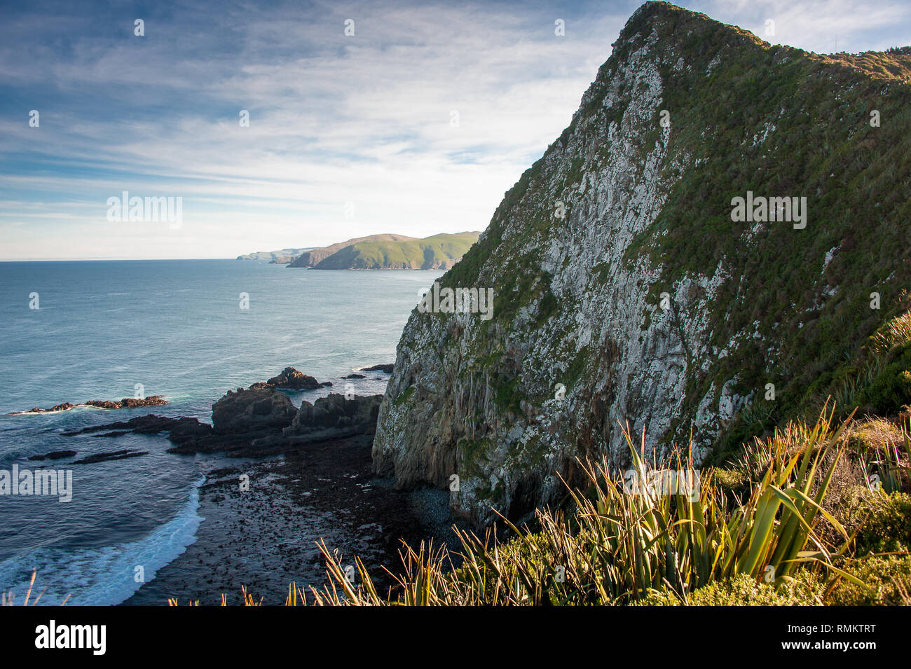Roaring Bay, Nugget Point, in the Catlins, New Zealand. Breathtaking ...