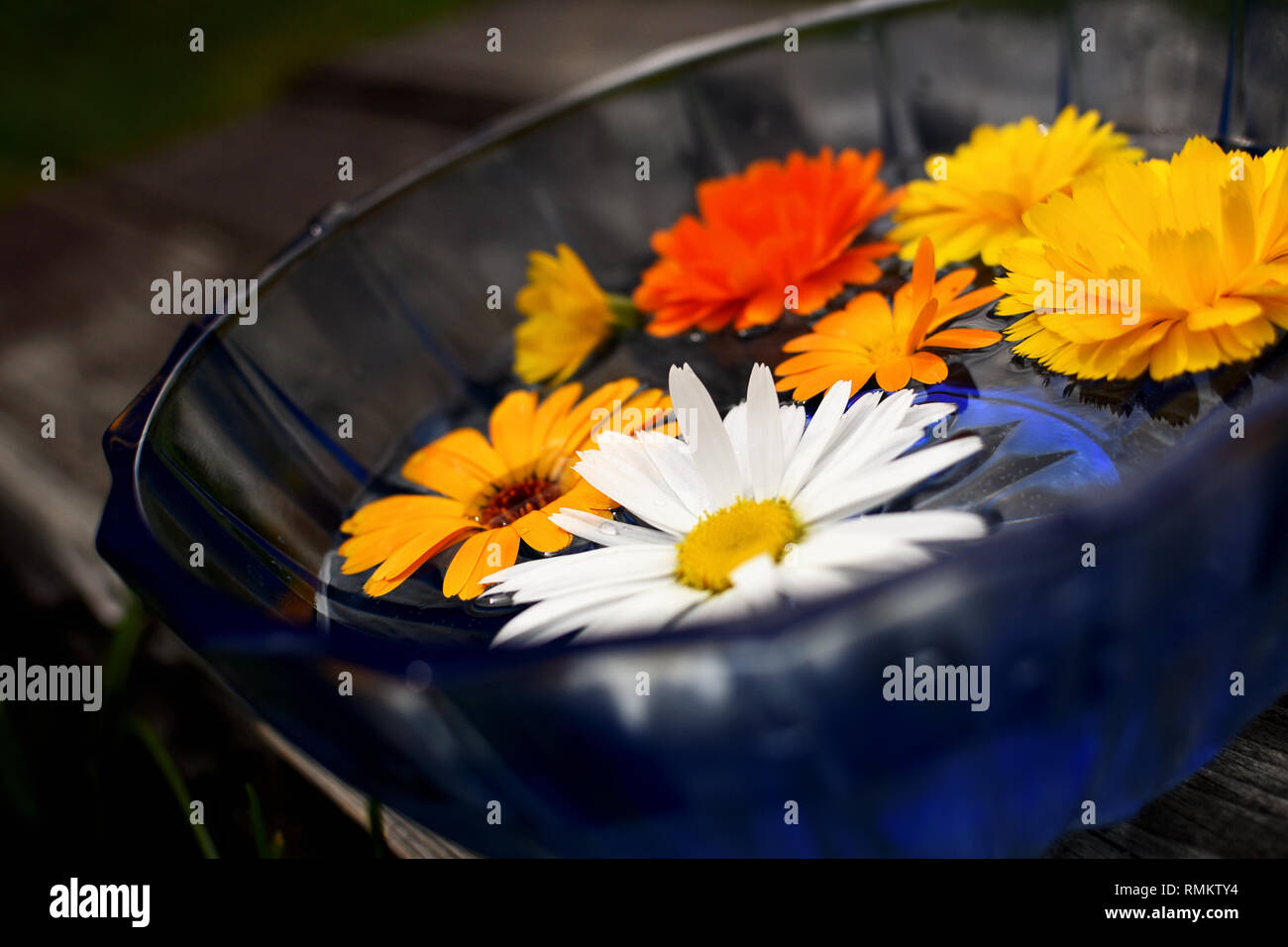 Flowers floating in blue cup, flowers in water on nature background ...