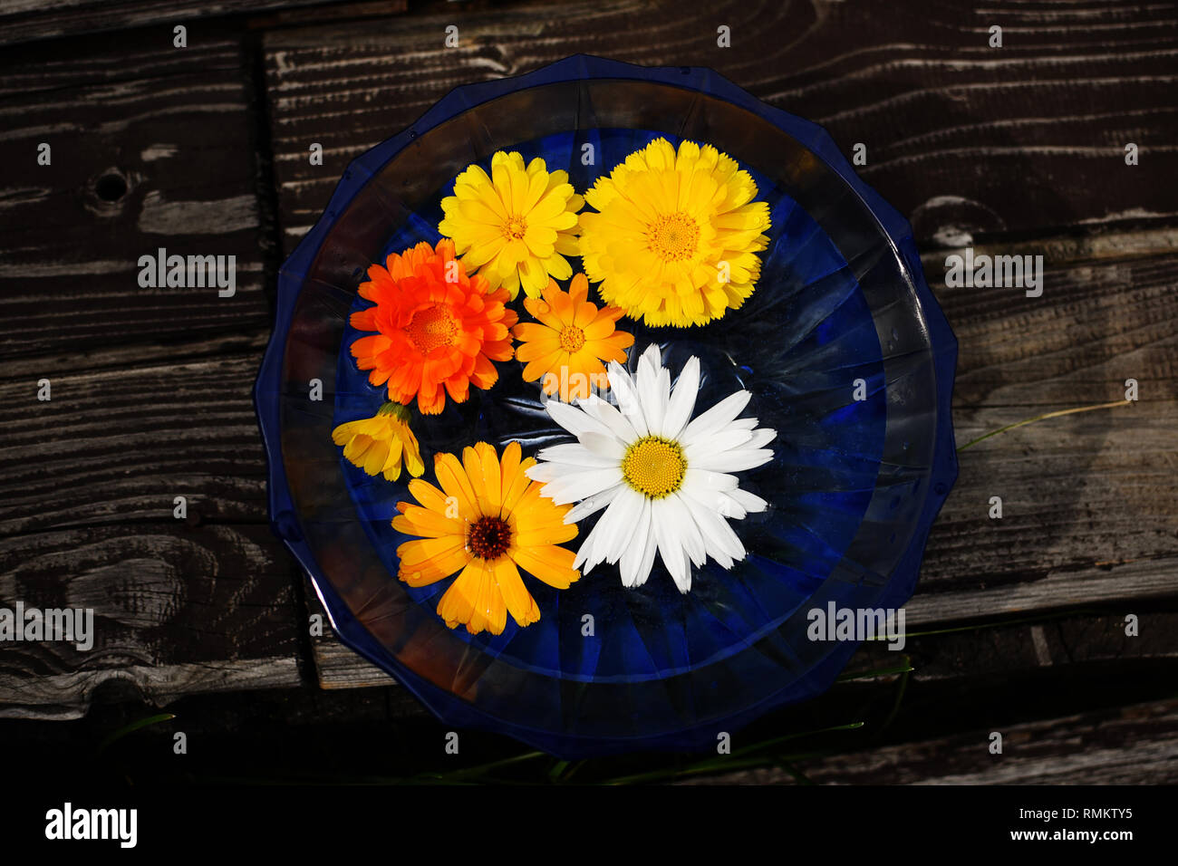 Flowers floating in blue cup, flowers in water on nature background ...