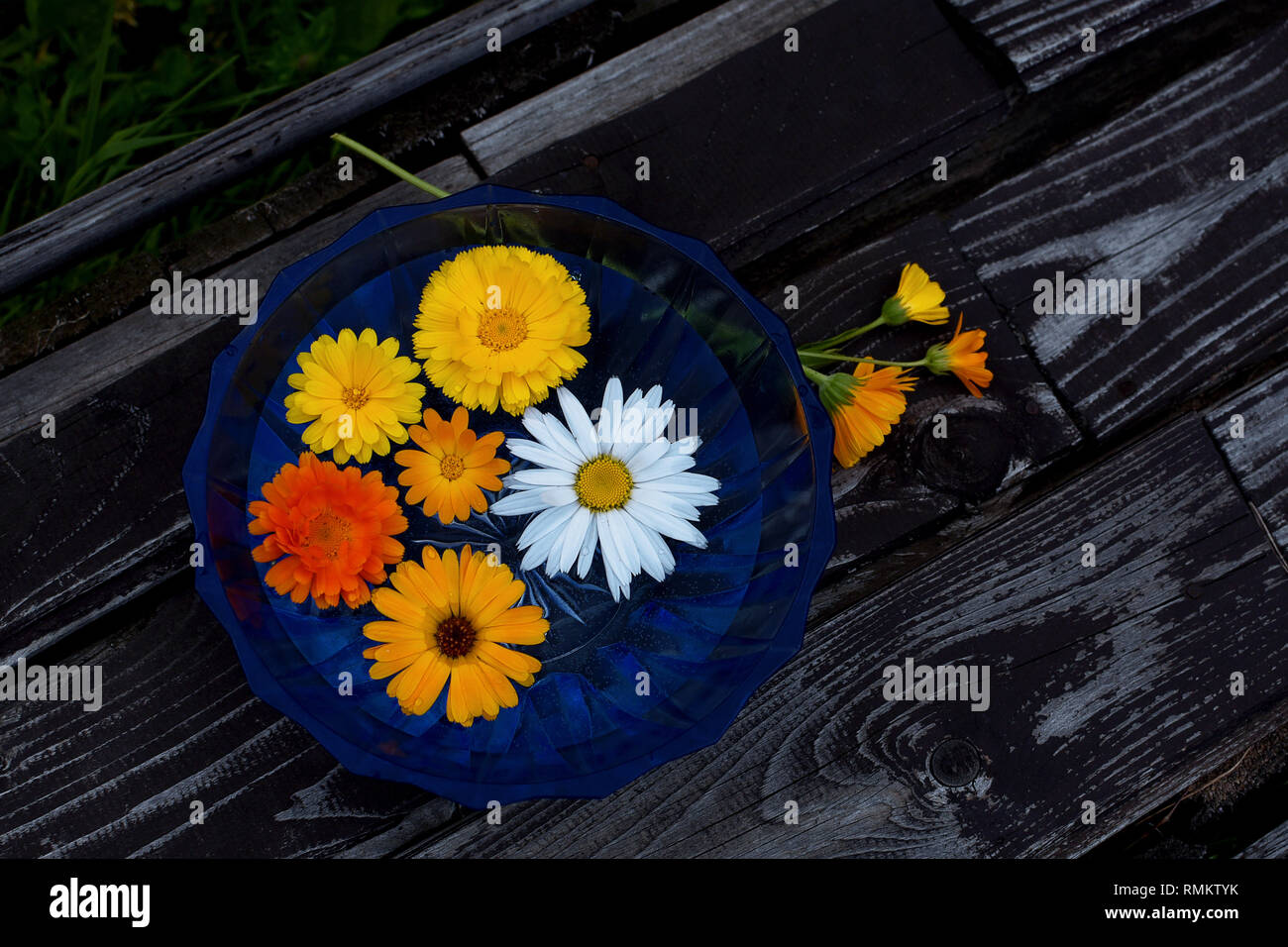 Flowers floating in blue cup, flowers in water on nature background ...