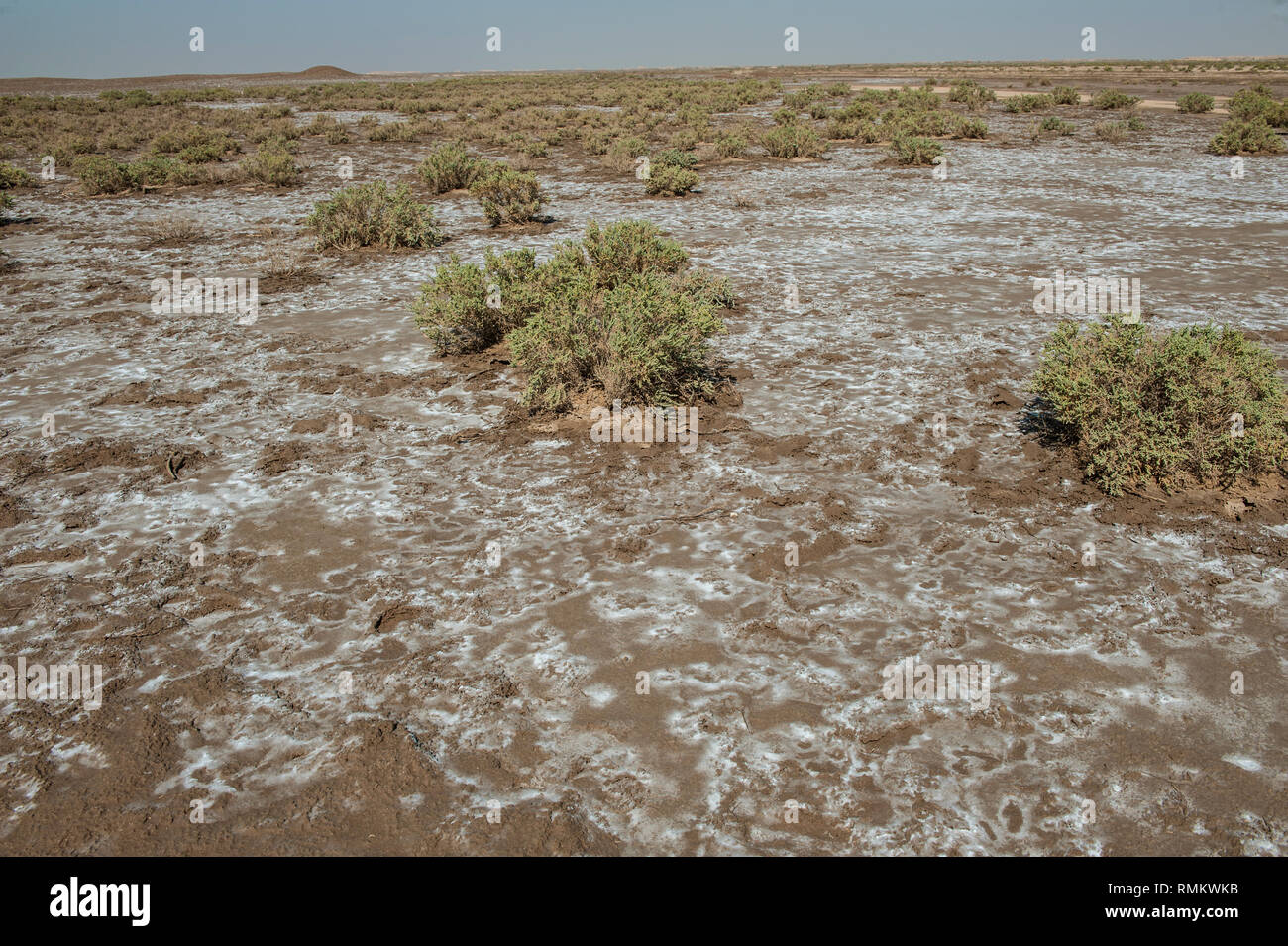 Salt Deposits in the desert near Basra, Iraq Stock Photo - Alamy