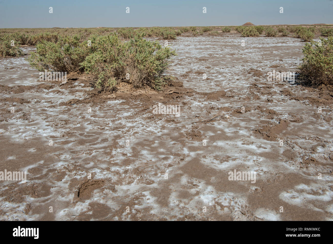 Salination hi-res stock photography and images - Alamy