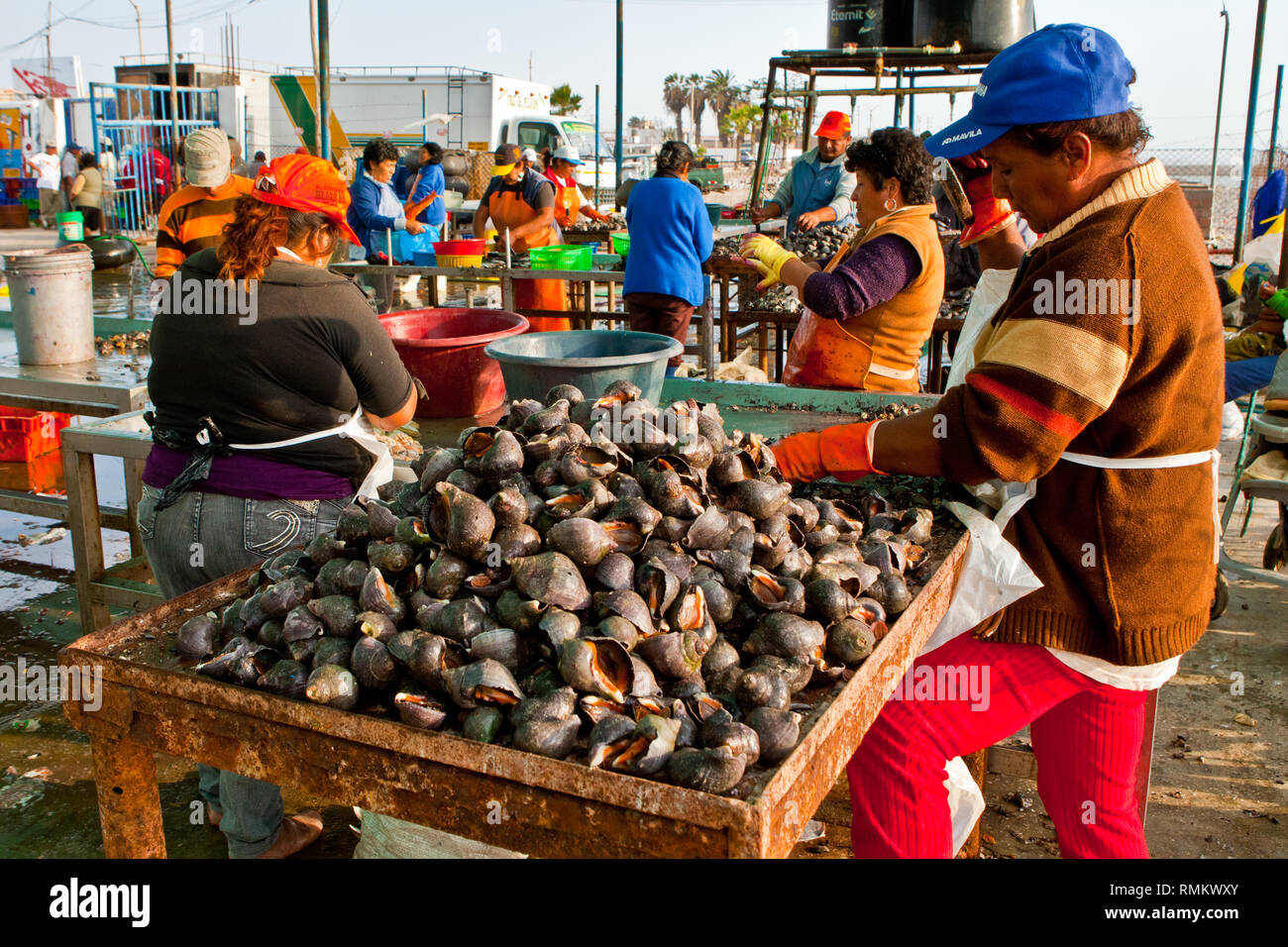 Ica's fish market in Peru Stock Photo - Alamy