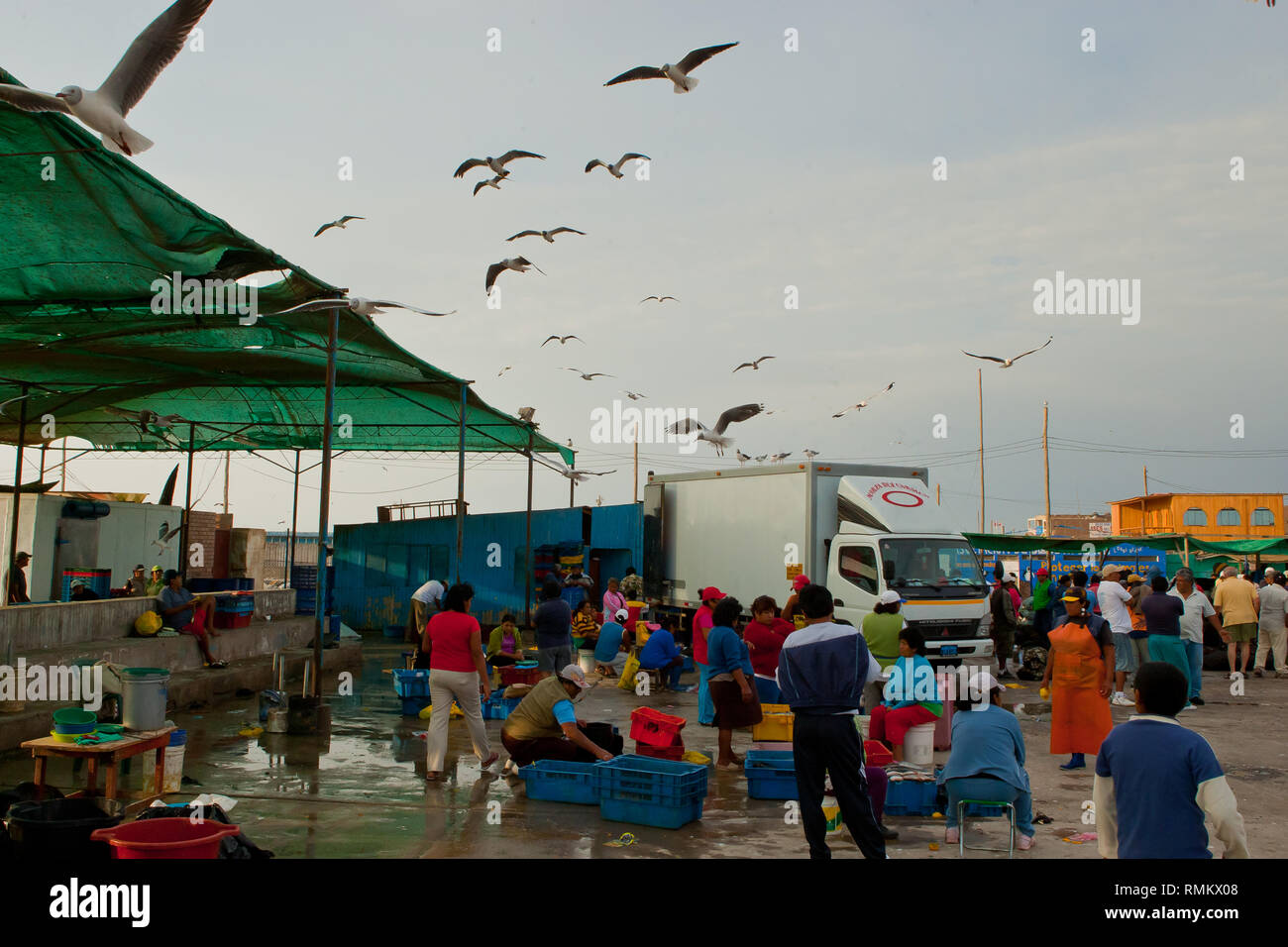 Ica's fish market in Peru Stock Photo - Alamy