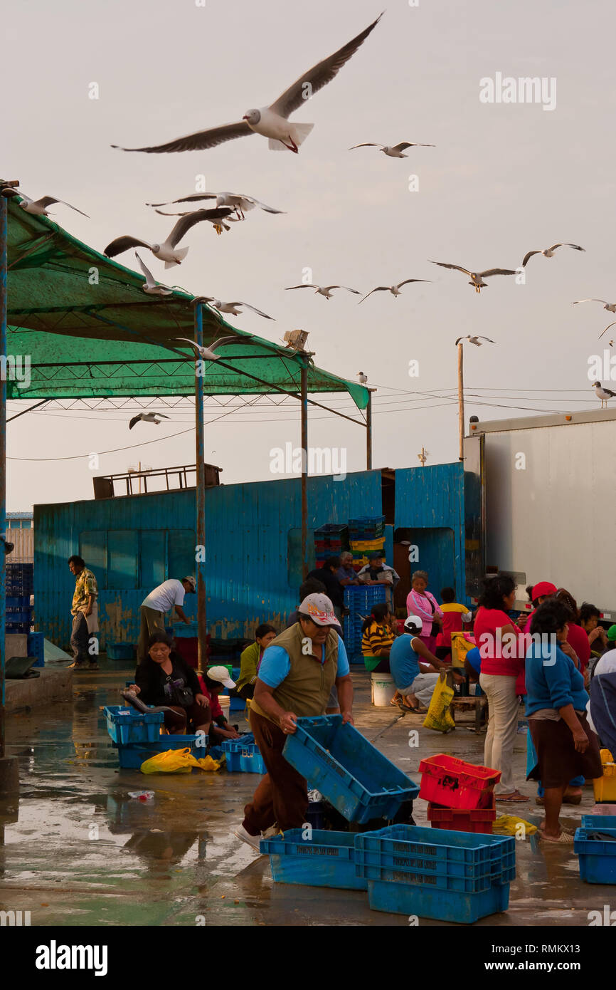 Ica's fish market in Peru Stock Photo - Alamy