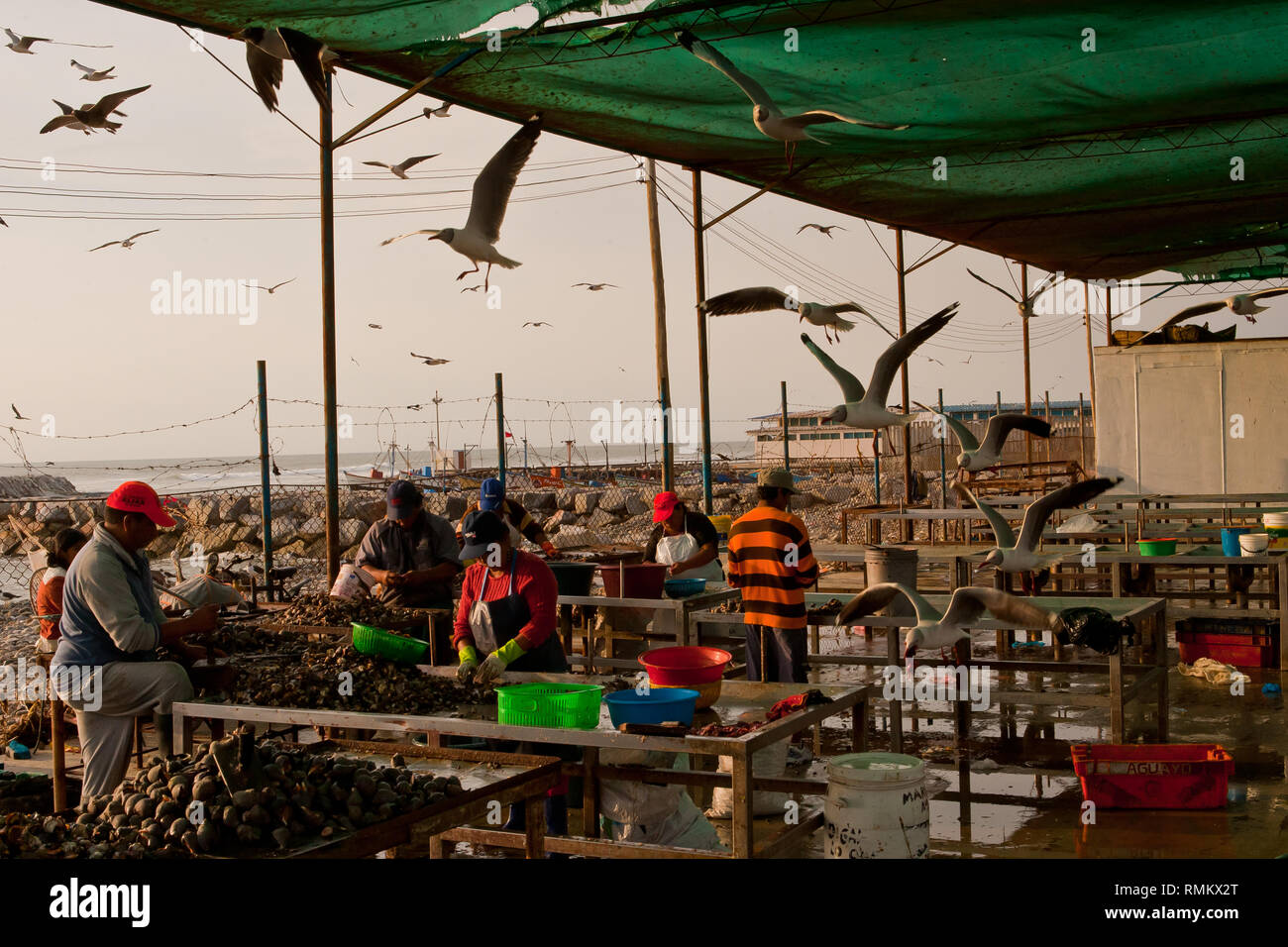 Ica's fish market in Peru Stock Photo - Alamy