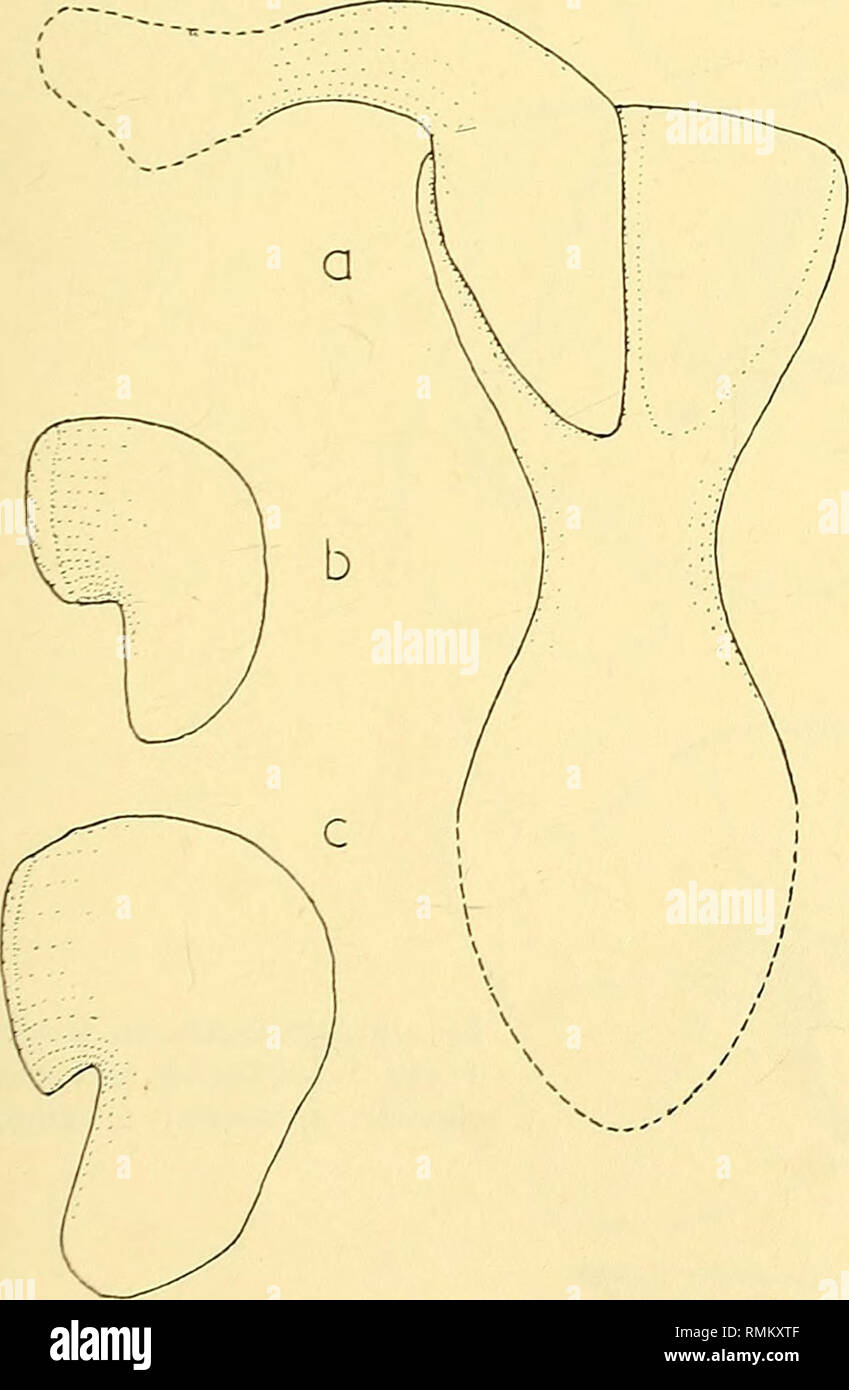 . Annals of the South African Museum = Annale van die Suid-Afrikaanse ...