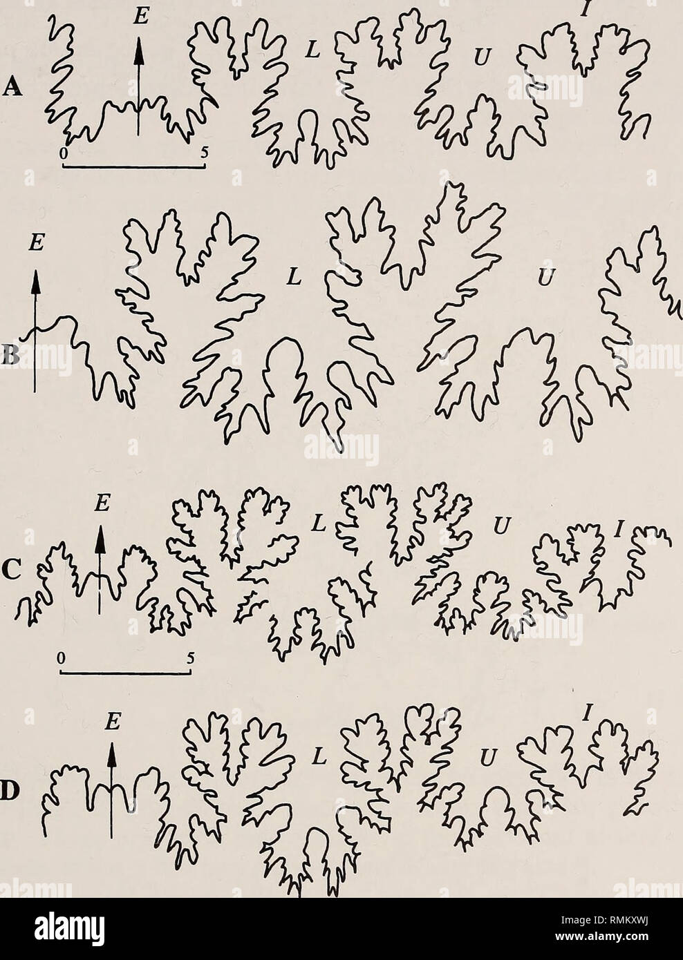 . Annals of the South African Museum = Annale van die Suid-Afrikaanse ...