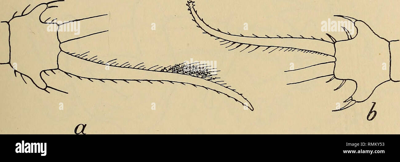 . Annals of the South African Museum = Annale van die Suid-Afrikaanse ...