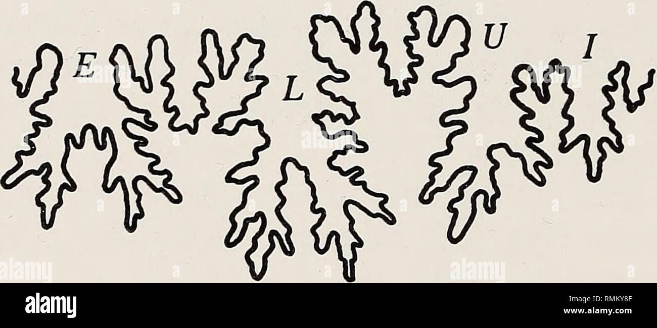 Pictet group hi-res stock photography and images - Alamy