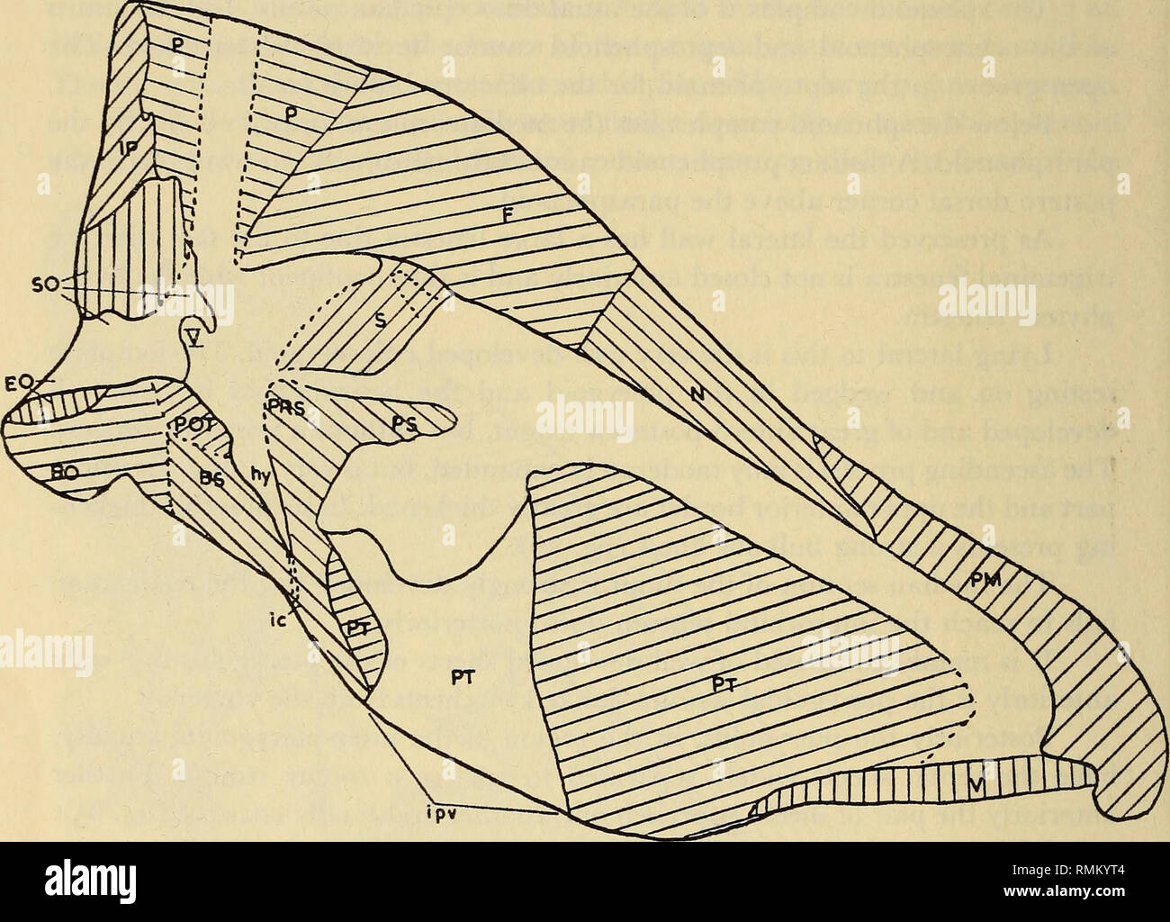 . Annals of the South African Museum = Annale van die Suid-Afrikaanse ...