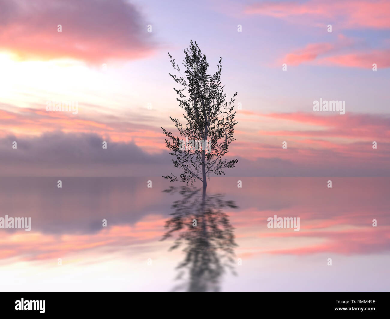 lonely tree in a water Stock Photo - Alamy