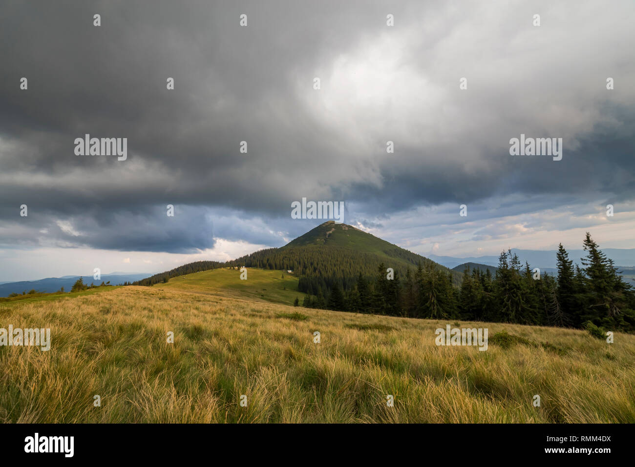 Panoramic view of green grassy valley, pine trees and rural small ...