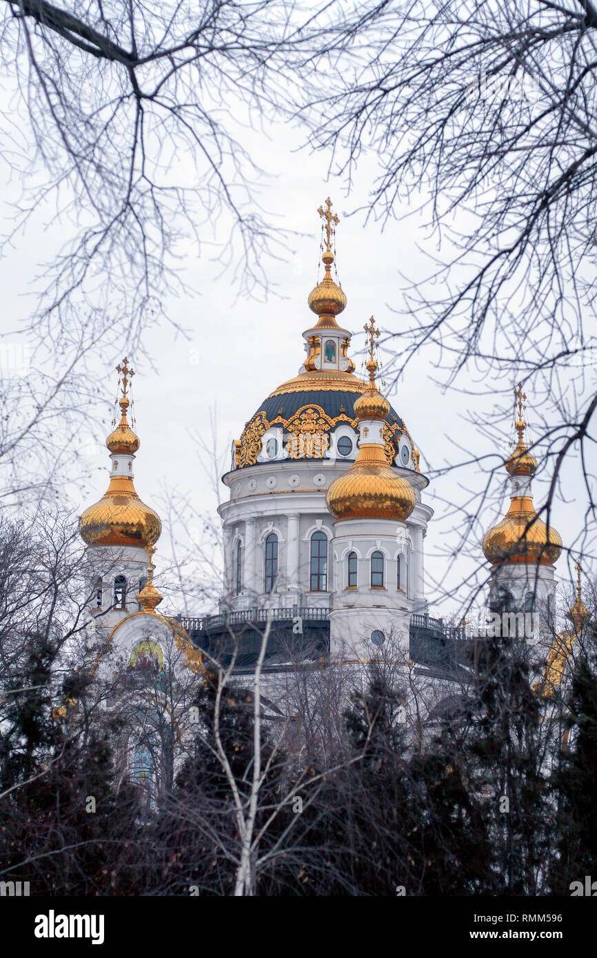 Church in the forest Stock Photo - Alamy