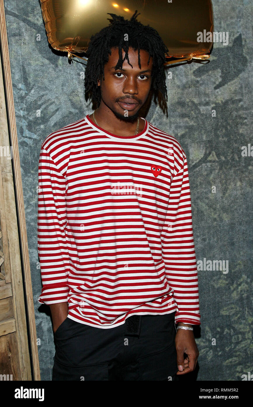 New York, USA. 24 Aug, 2016. Raury at The Wednesday, Aug 24, 2016 21st ...