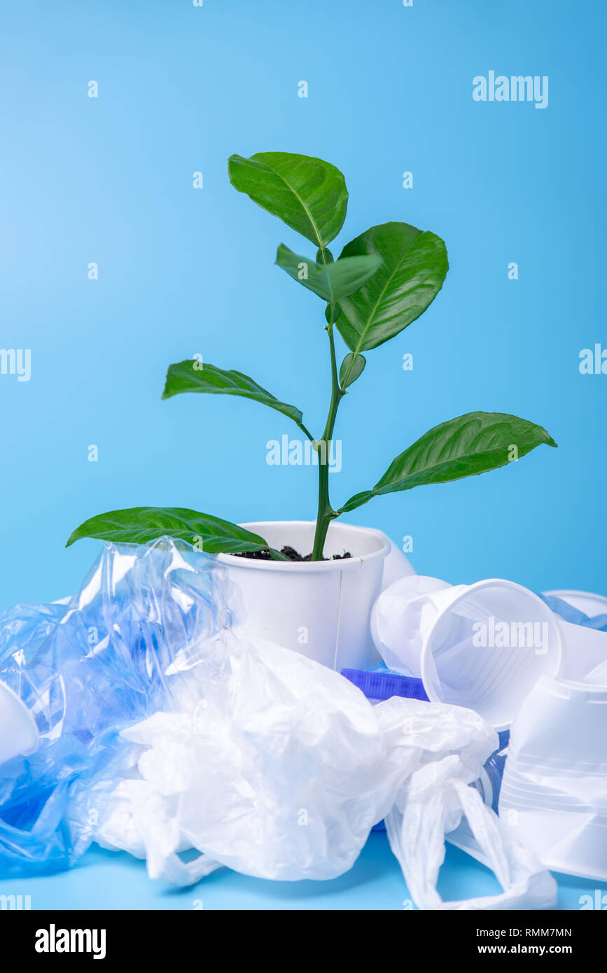 Green plant grows among plastic garbage. Bottles and bags on blue ...
