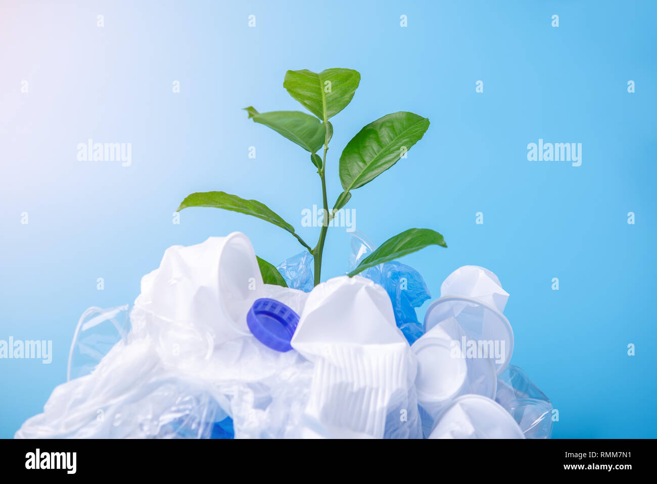 Green plant grows among plastic garbage. Bottles and bags on blue ...