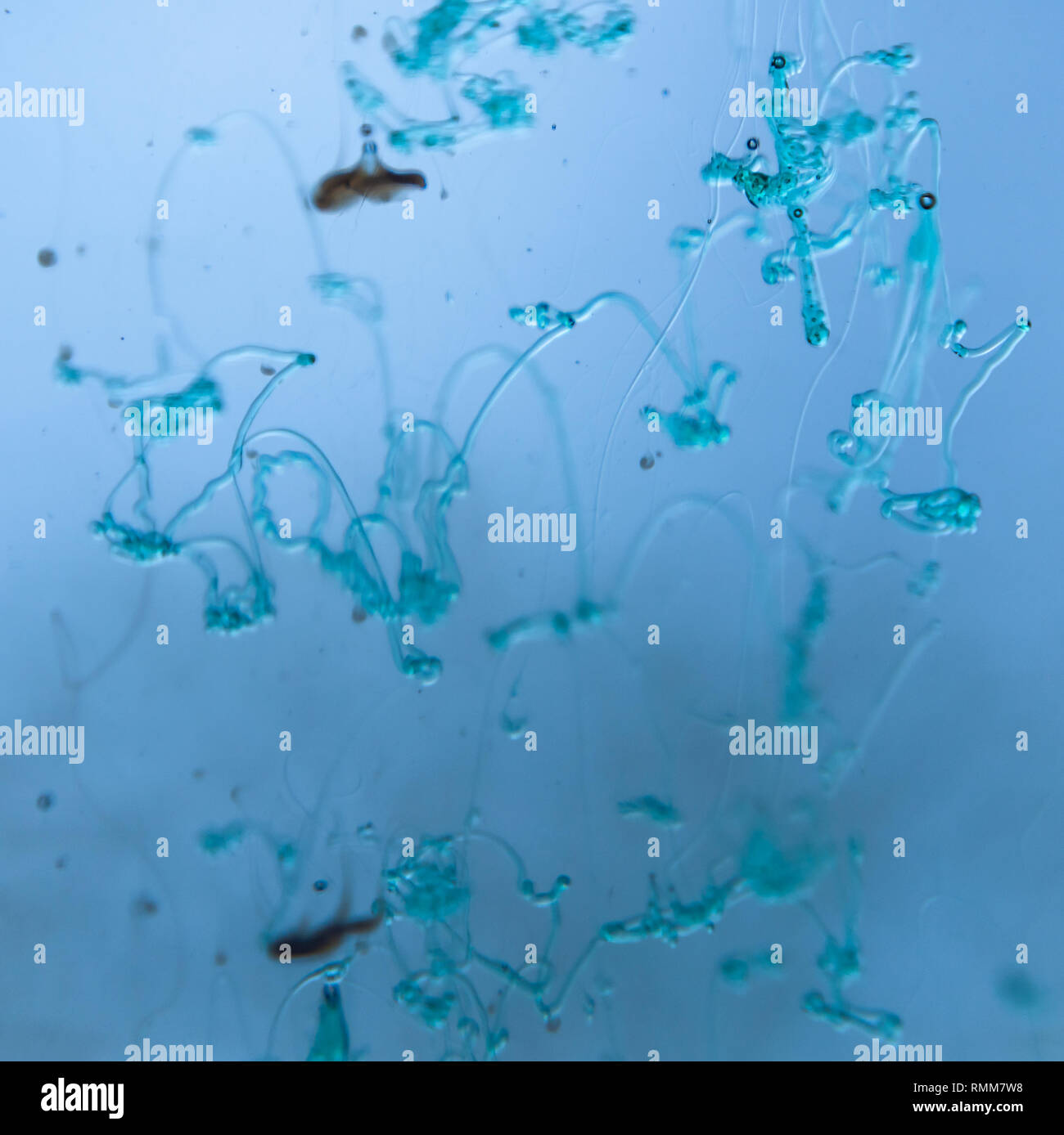 Abstract water colors and patterns Stock Photo - Alamy