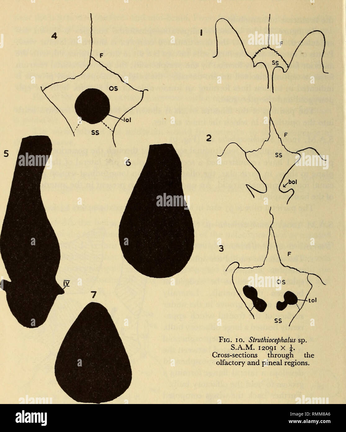 . Annals of the South African Museum = Annale van die Suid-Afrikaanse ...