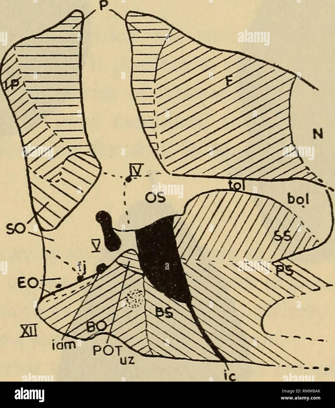 . Annals of the South African Museum = Annale van die Suid-Afrikaanse ...
