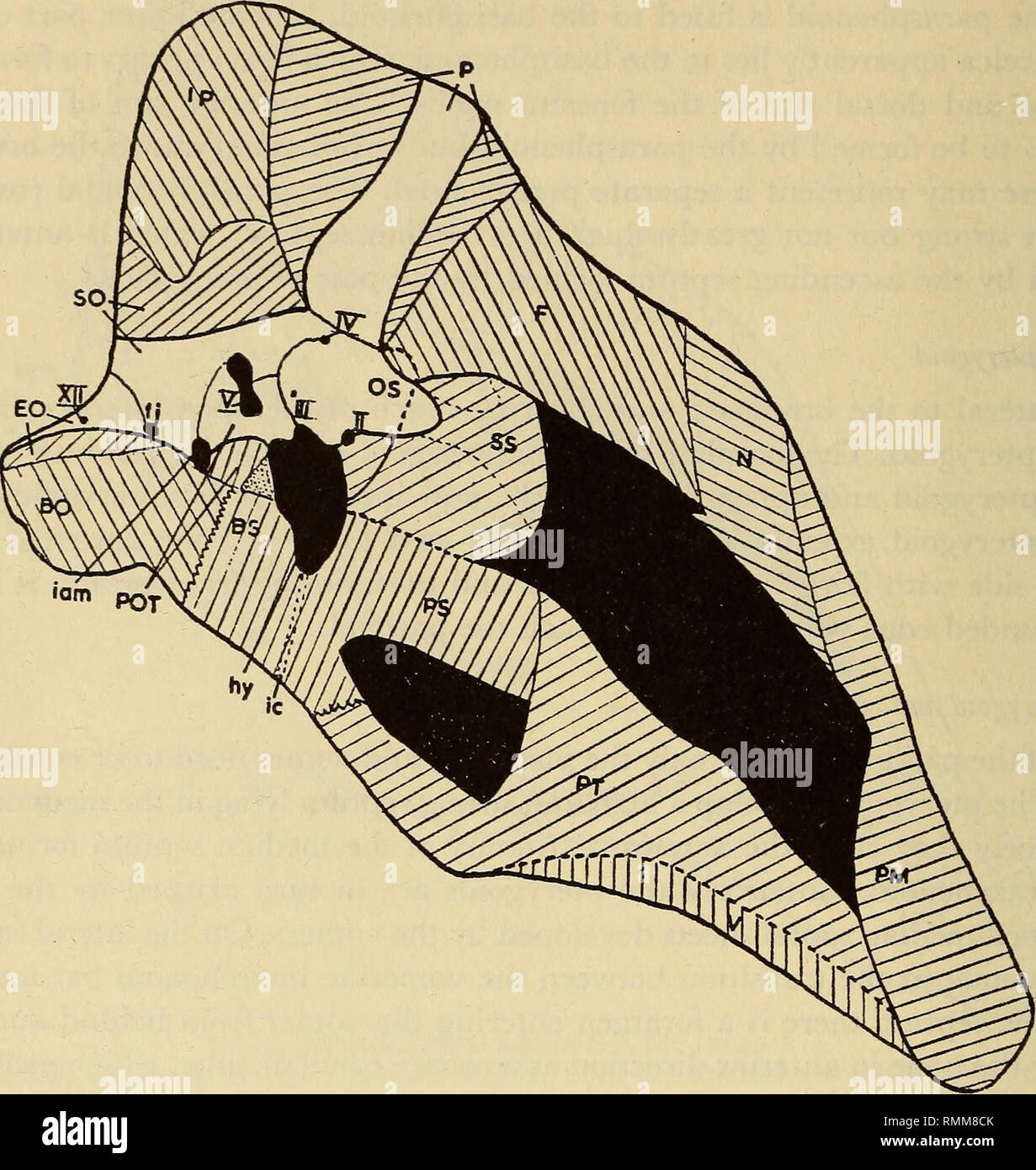 . Annals of the South African Museum = Annale van die Suid-Afrikaanse ...