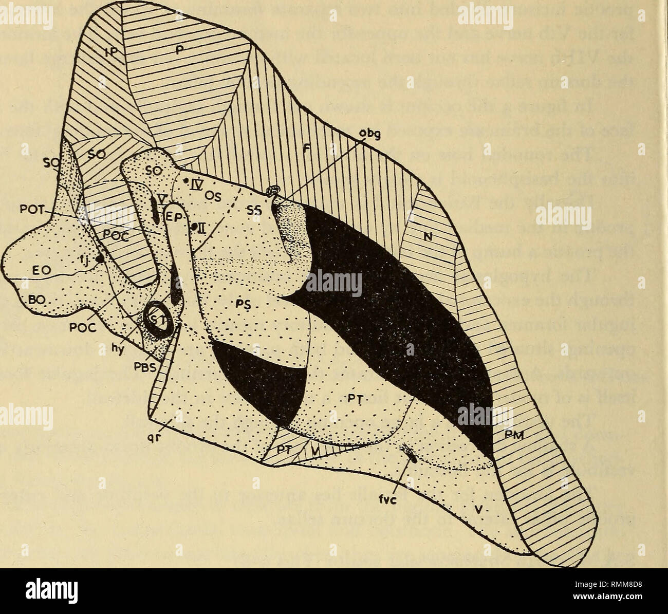 . Annals of the South African Museum = Annale van die Suid-Afrikaanse ...