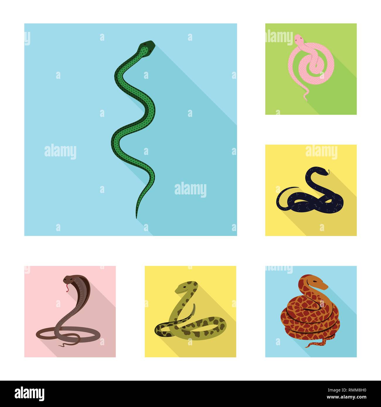viper,anaconda,cobra,snake,tail,white,python,wild,fear,pharmacy,animal ...