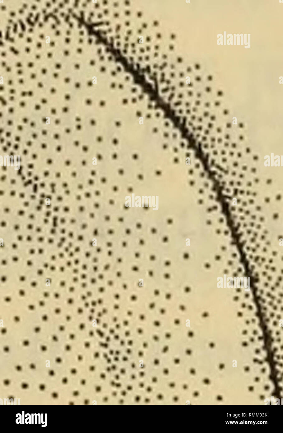 . Annals of the South African Museum = Annale van die Suid-Afrikaanse ...