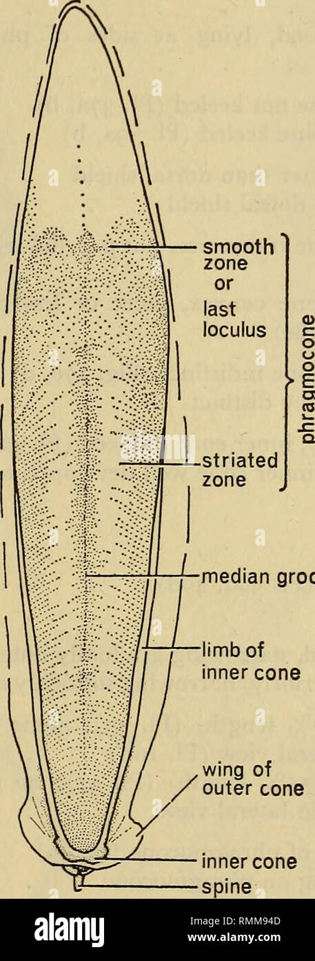 . Annals of the South African Museum = Annale van die Suid-Afrikaanse ...