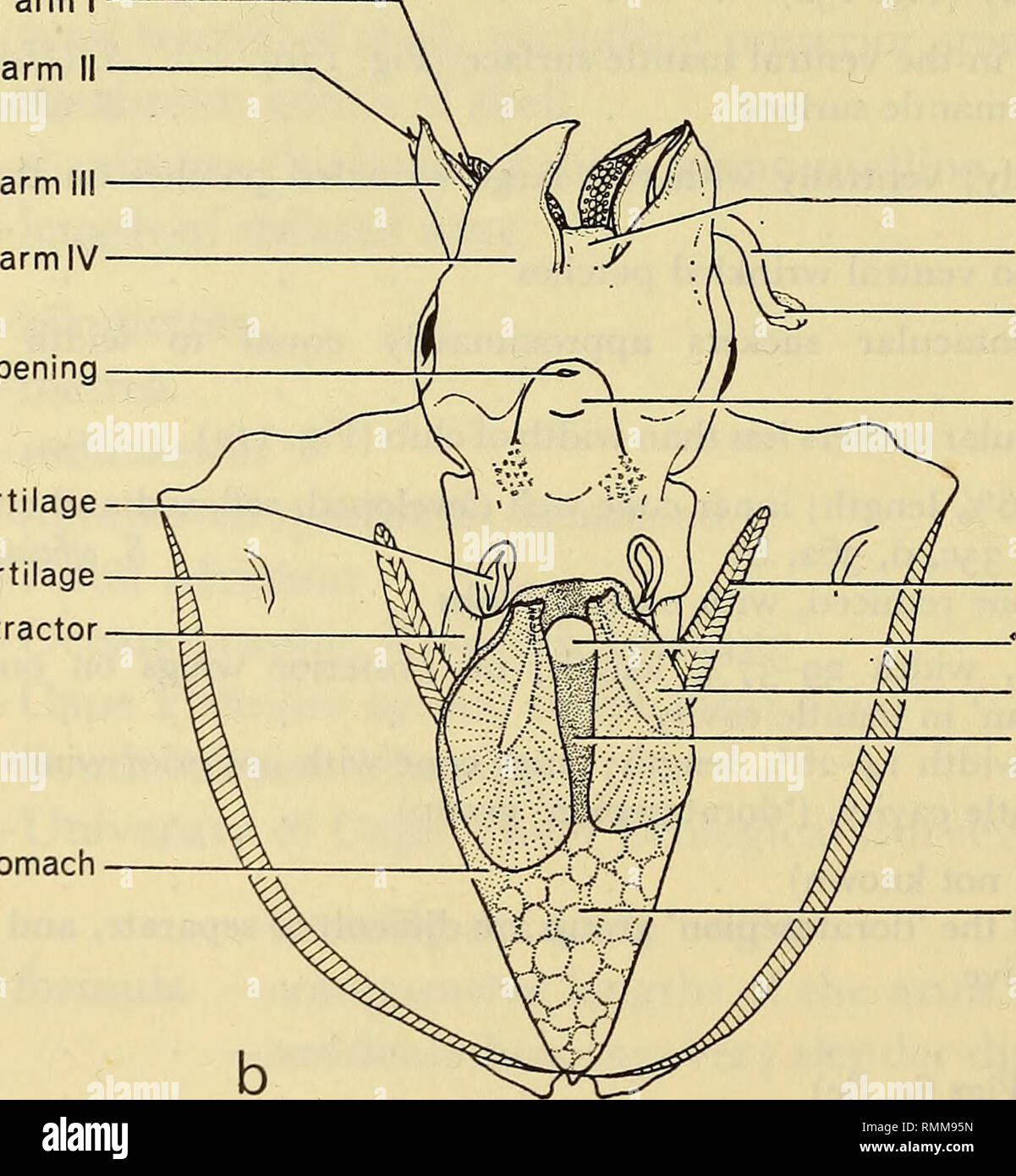 . Annals of the South African Museum = Annale van die Suid-Afrikaanse ...