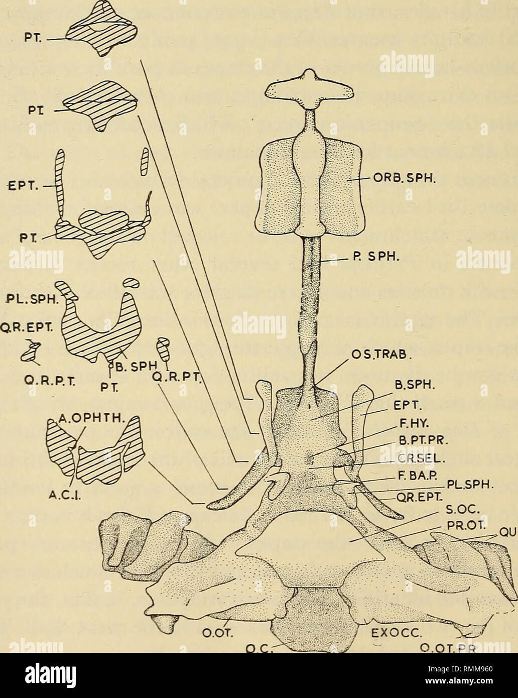 Curvat hi-res stock photography and images - Alamy
