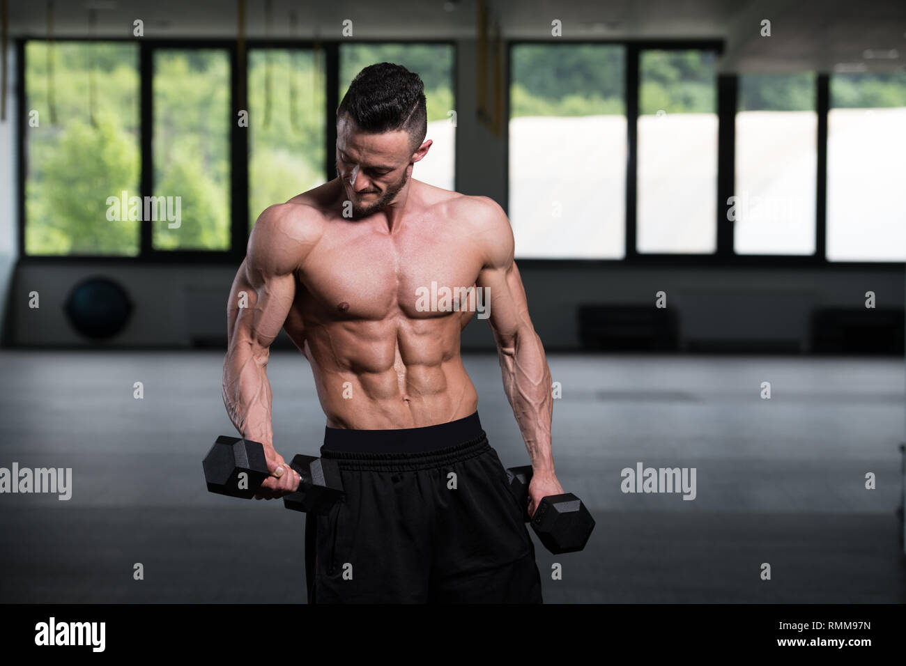 Man Working Out Biceps In A Gym - Dumbbell Concentration Curls Stock ...
