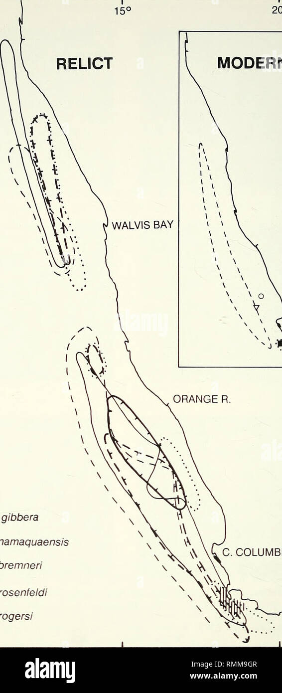 Walvis bay museum hi-res stock photography and images - Alamy