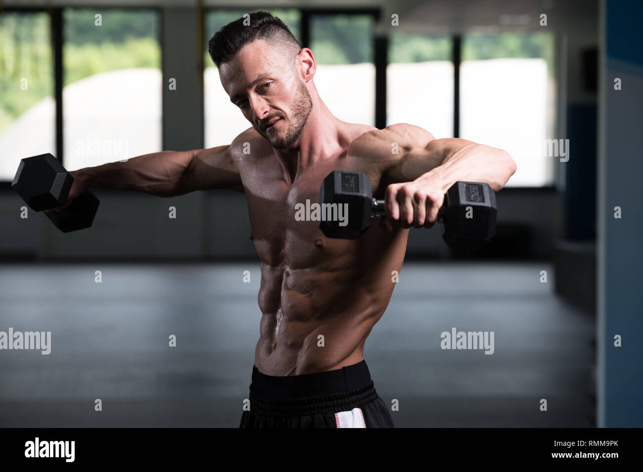 Athlete Working Out Shoulders In A Gym - Dumbbell Concentration Curls ...