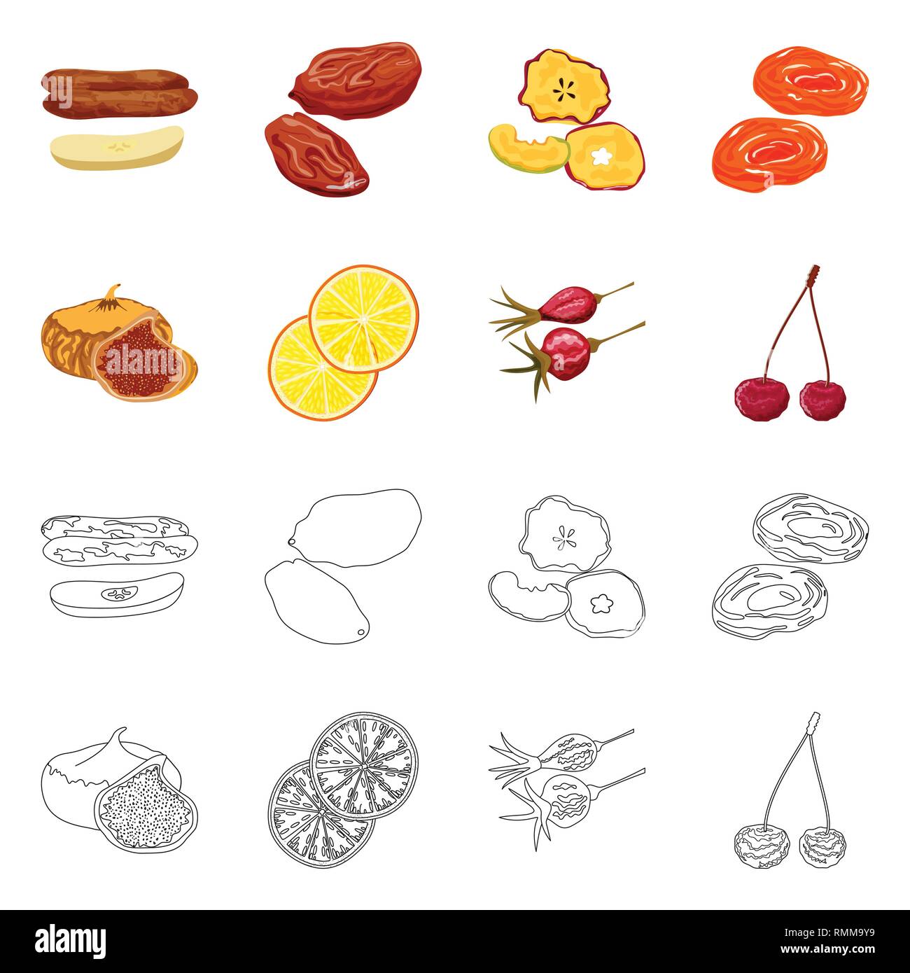 Vector illustration of food and raw icon. Set of food and nature stock ...