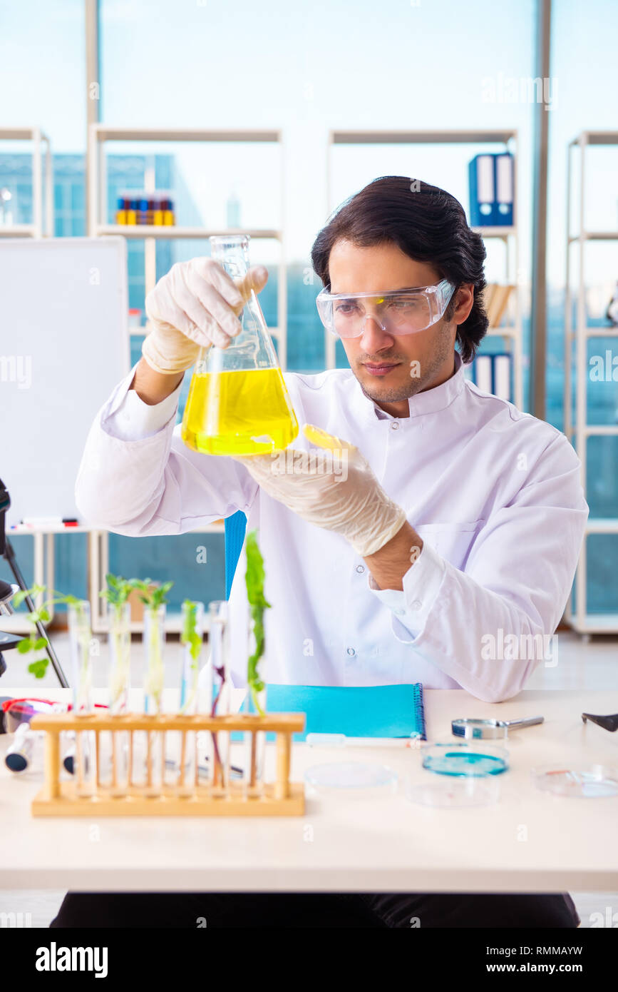 Male biotechnology scientist chemist working in the lab Stock Photo - Alamy
