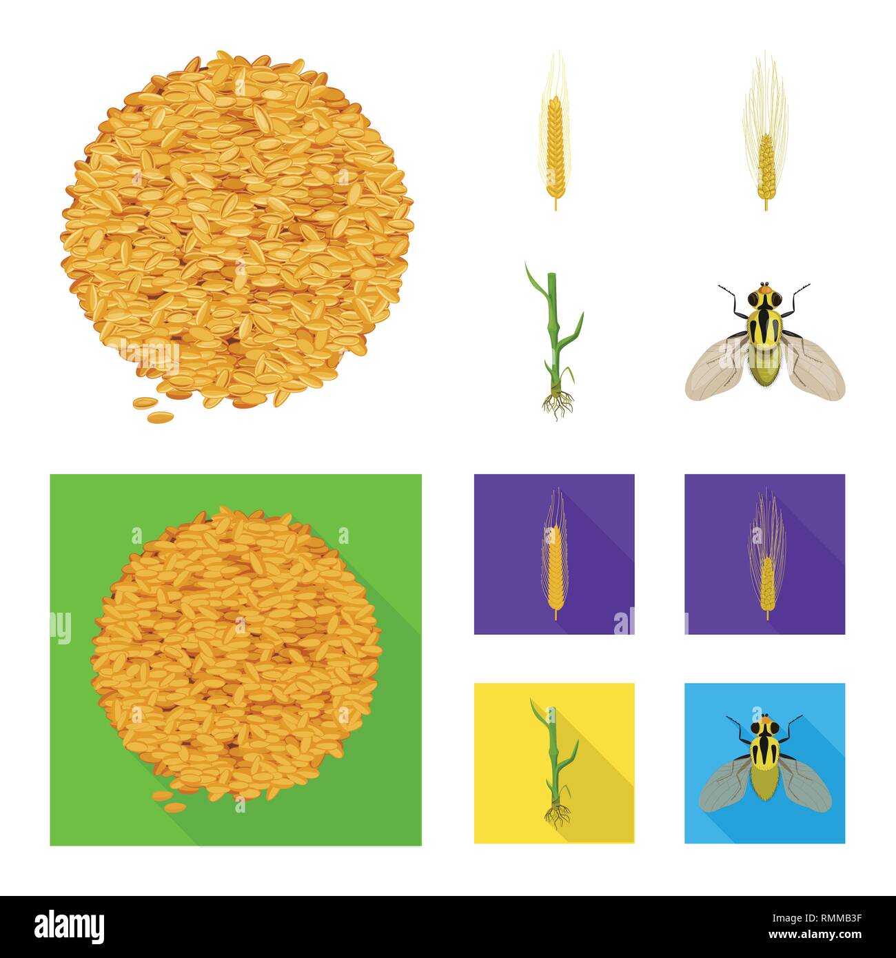 barley,stem,fly,seeds,winter,root,insect,crop,spring,pest,bread,spike ...