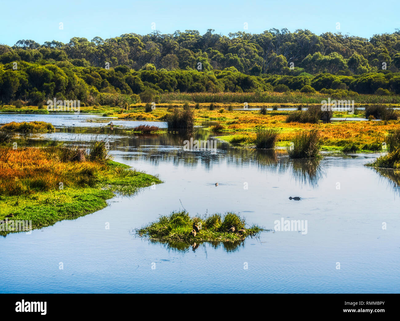 Yanchep Lake, Yanchep National Park, Perth, Western Australia ...