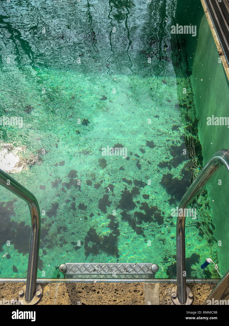 Dirty swimming pool with green colored water in early spring after ...