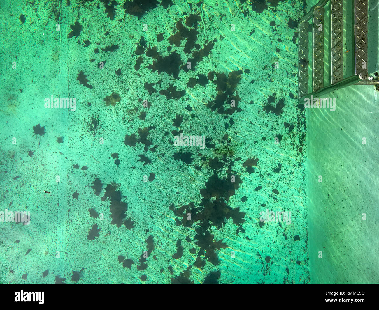Dirty swimming pool with green colored water in early spring after ...