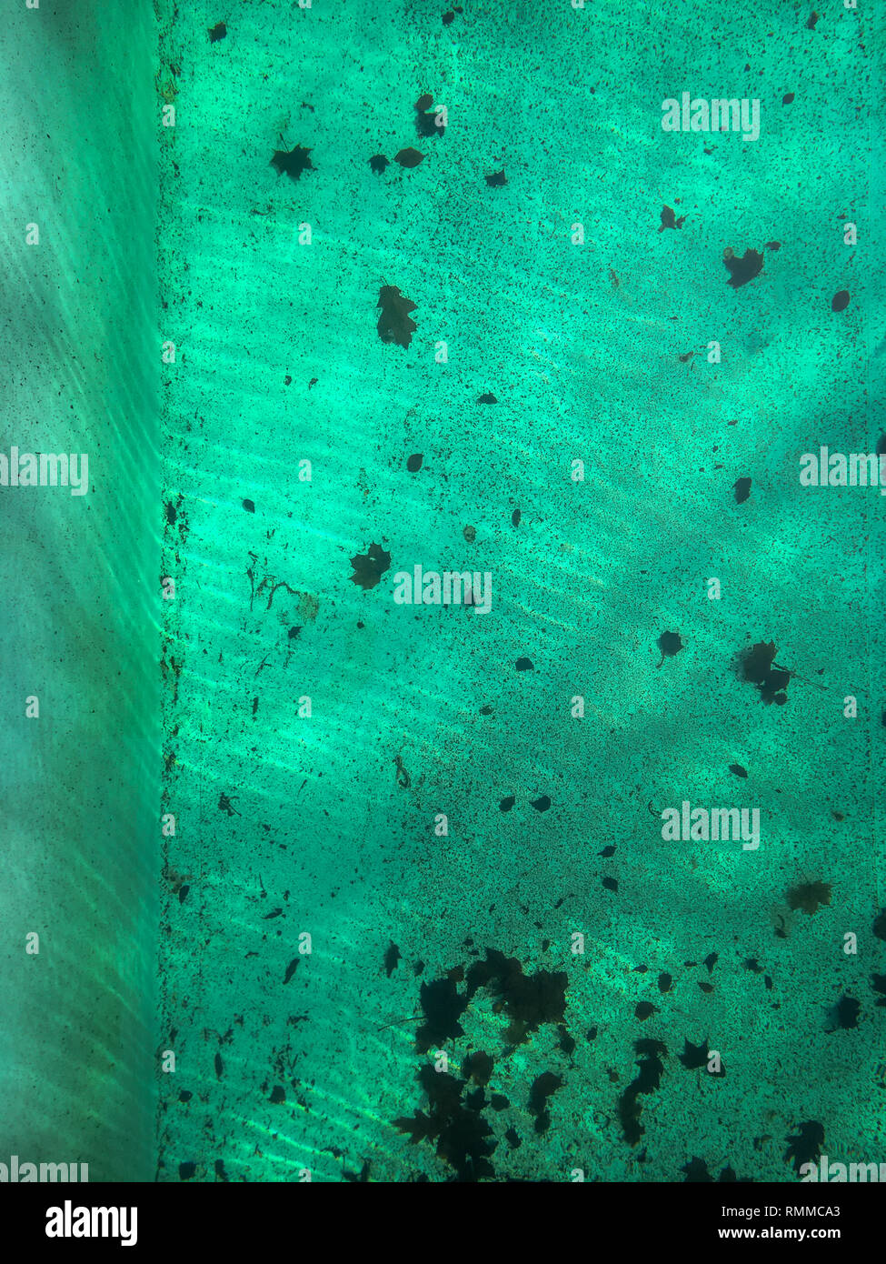 Dirty swimming pool with green colored water in early spring after ...