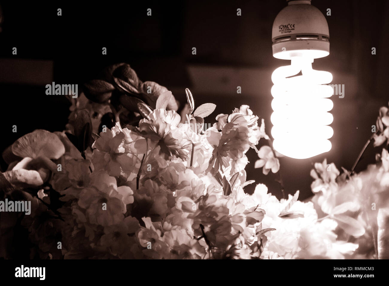 Abstract lamp hi-res stock photography and images - Alamy