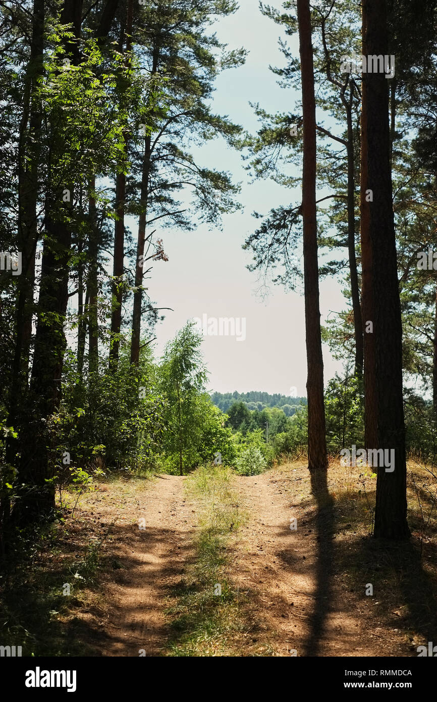 Forest road. Landscape. sky at the end of the road Stock Photo - Alamy